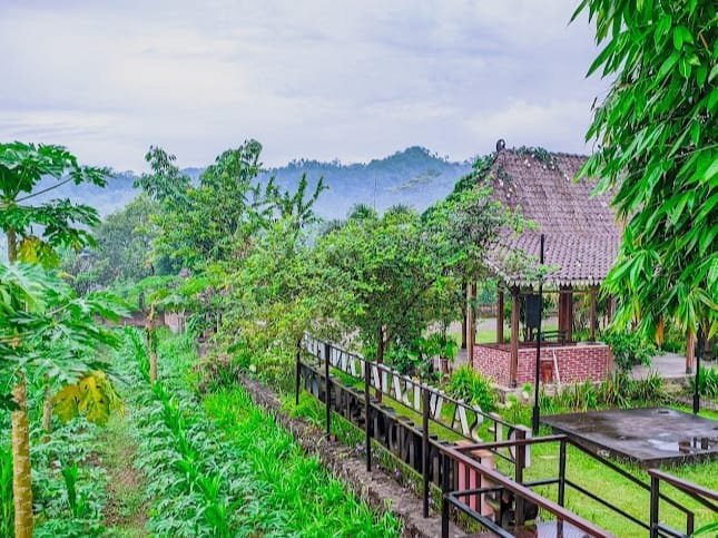 Desa Wisata Candirejo Destinasi Hidden Gem Dekat Borobudur yang Wajib Kamu Kunjungi!