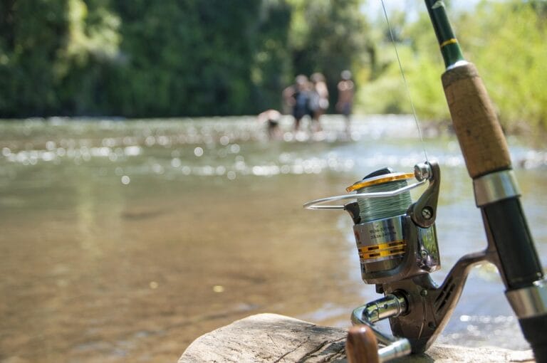 Siap Menaklukkan Arus, Panduan Lengkap Persiapan Memancing di Sungai ...