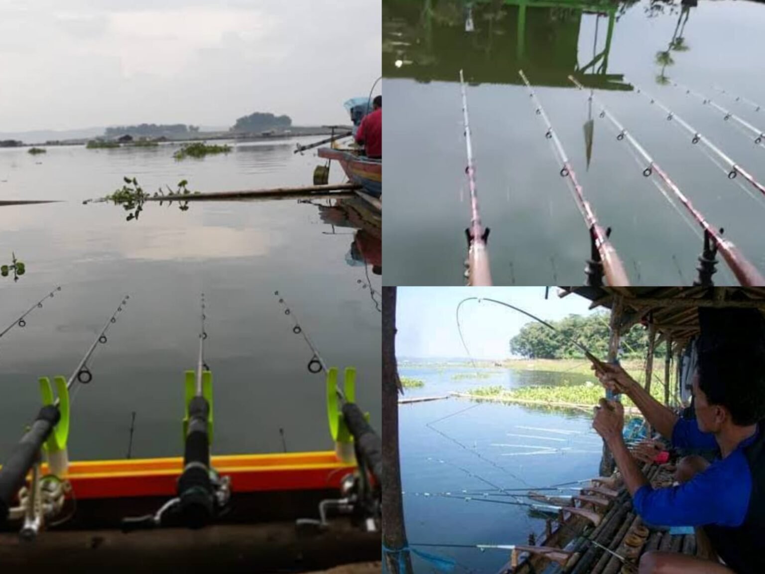 Tips Memancing di Waduk Jatiluhur, Purwakarta